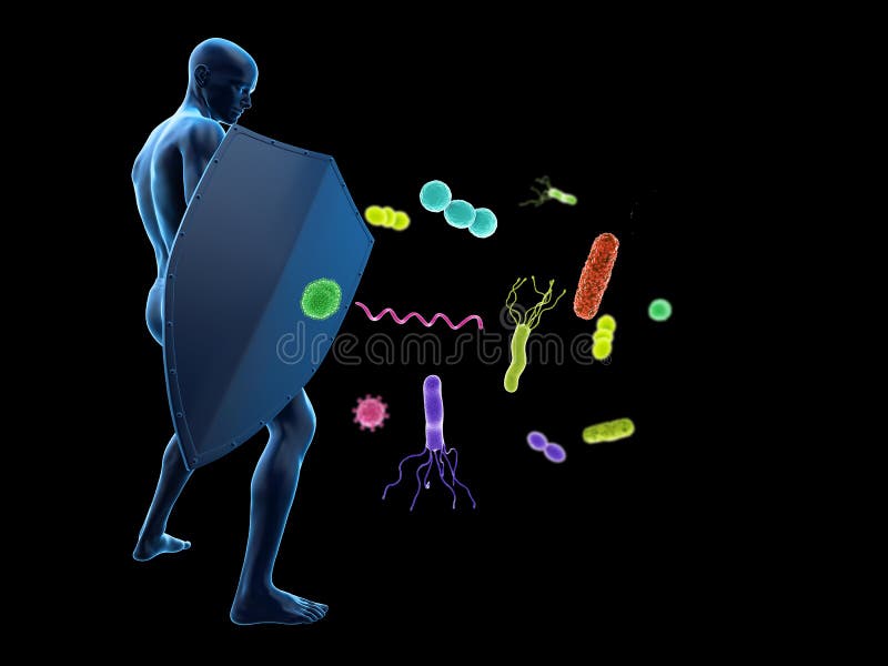 Immune defense stock illustration. Illustration of body - 11734457