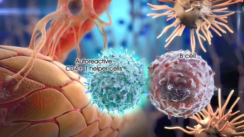 He Immune Response is How Your Body Recognizes and Defends Itself ...