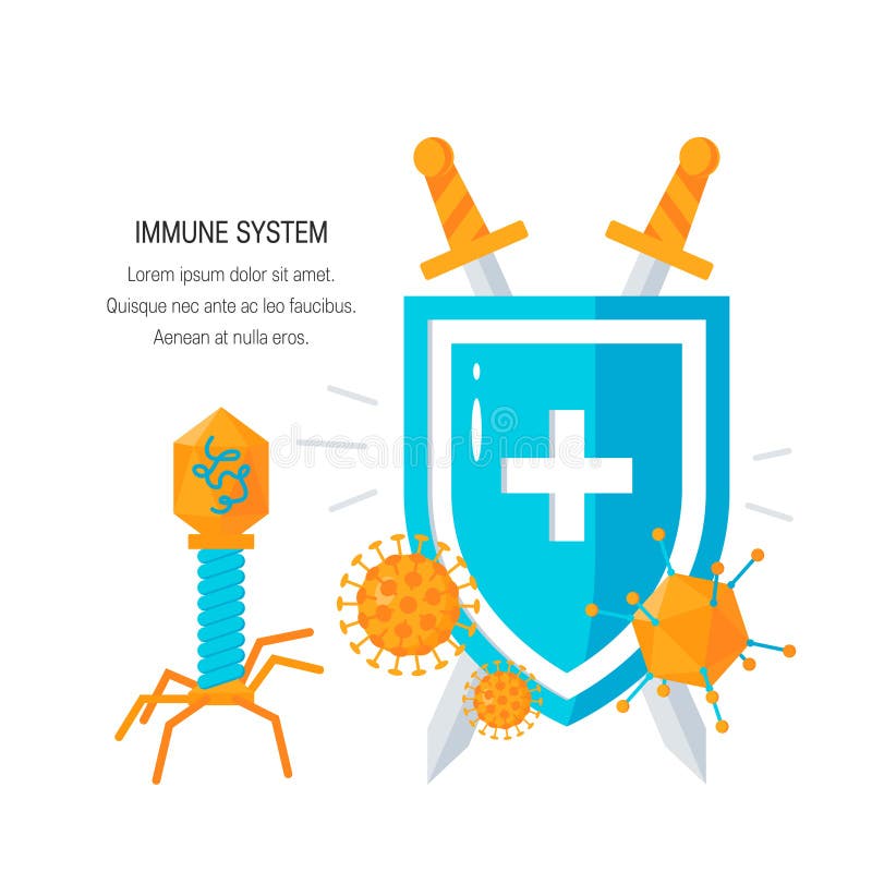 Human immune system stock illustration. Illustration of health - 66046870