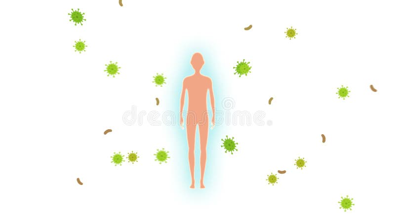 Immune System Defends the Body Against Virus and Bacteria, 2D Animation ...
