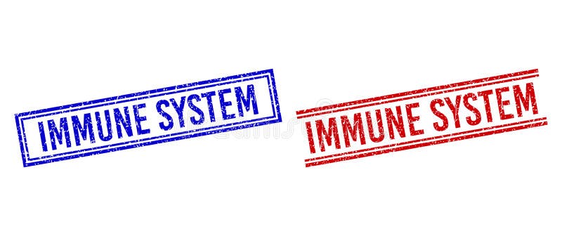 Rubber Textured IMMUNE SYSTEM Stamps with Double Lines Stock ...