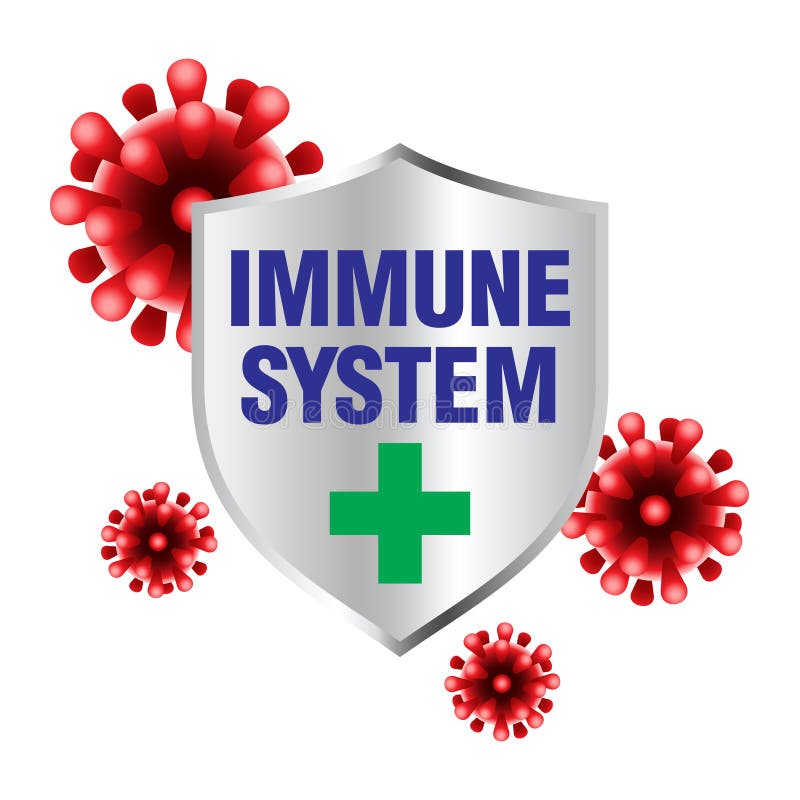 Immune System Shield Protecting from Virus Stock Vector - Illustration ...