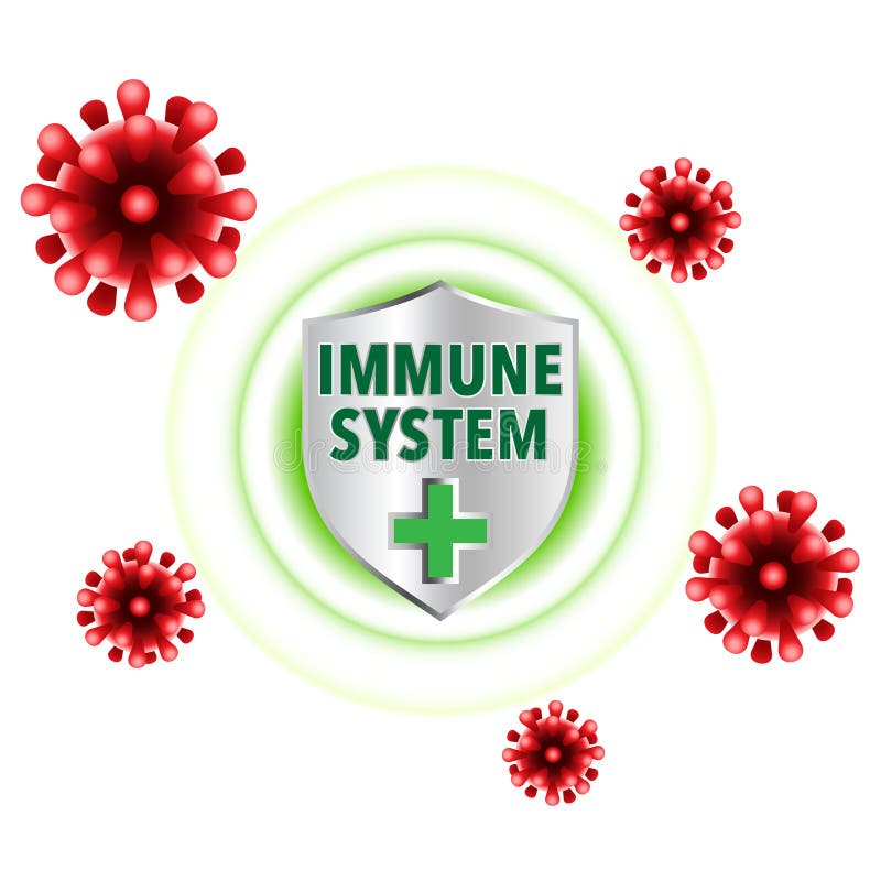 Immune System Shield Protecting from Virus Stock Vector - Illustration ...