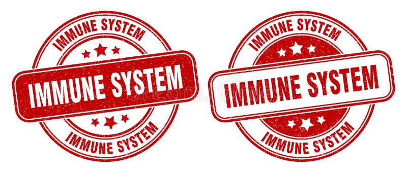 Immune System Stamp. Immune System Label. Round Grunge Sign Stock ...