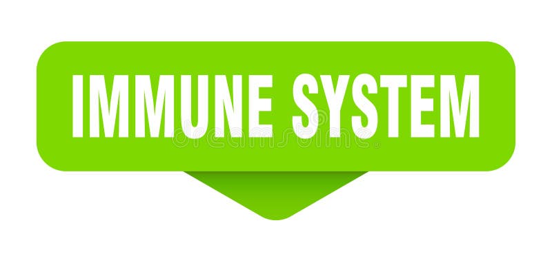 Immune System Sticker. Immune System Sign on Transparent Background ...