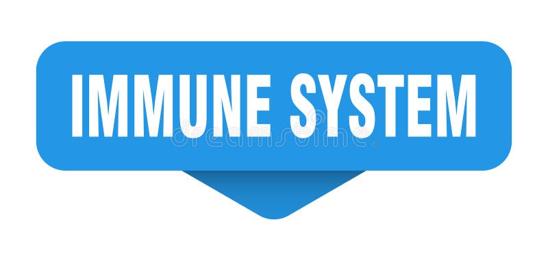 Immune System Sticker. Immune System Sign on Transparent Background ...