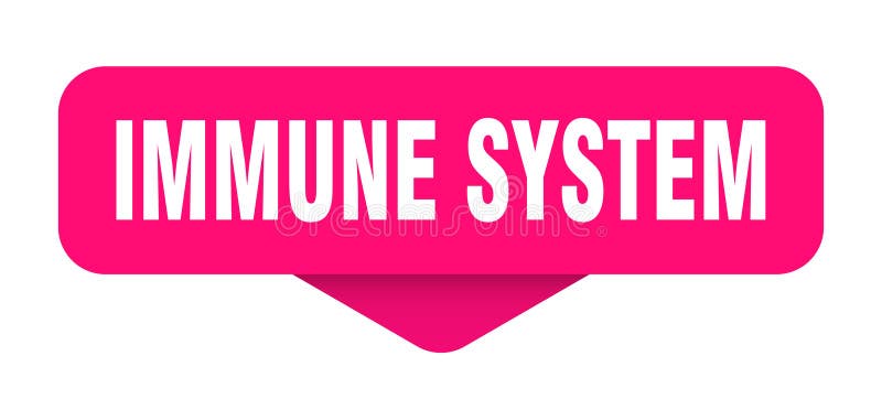 Immune System Sticker. Immune System Sign on Transparent Background ...
