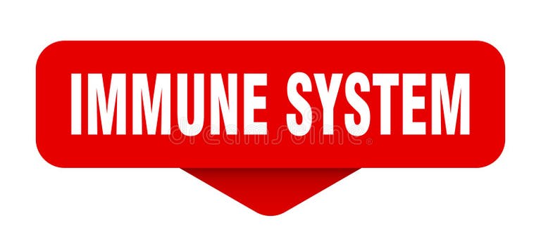 Immune System Sticker. Immune System Sign on Transparent Background ...