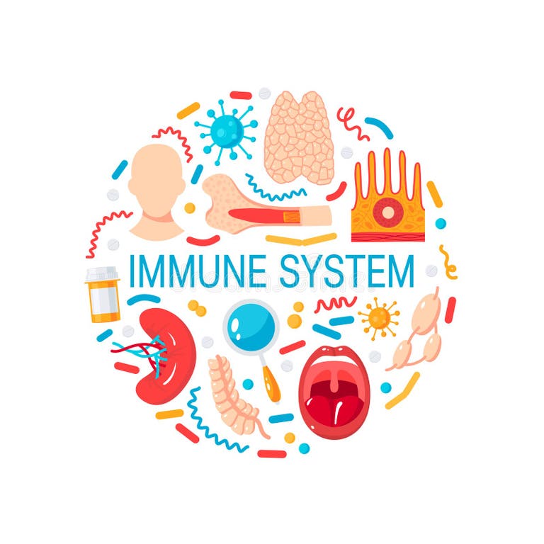 Immune System Cartoon Stock Illustrations – 2,712 Immune System Cartoon ...