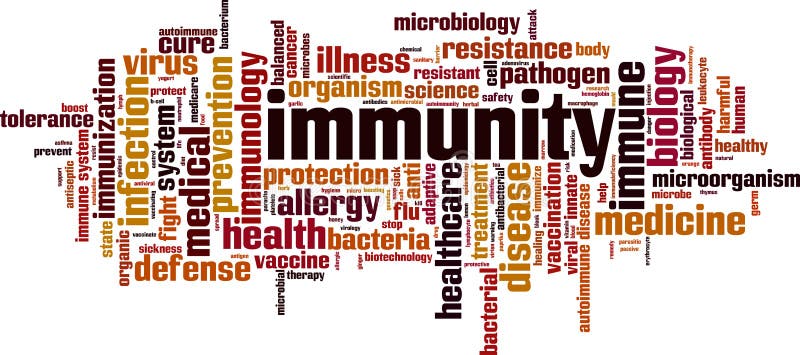 Immunity word cloud stock vector. Illustration of antibody - 260174245