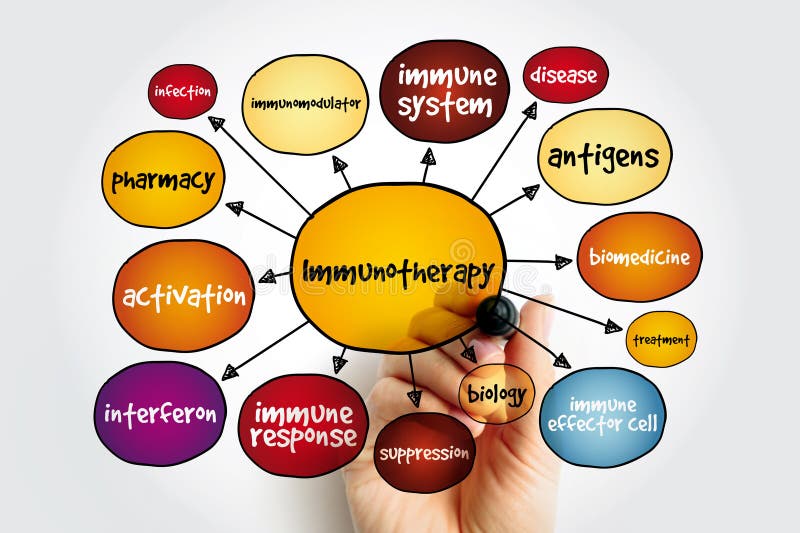 Immunotherapy Mind Map, Concept for Presentations and Reports Stock ...