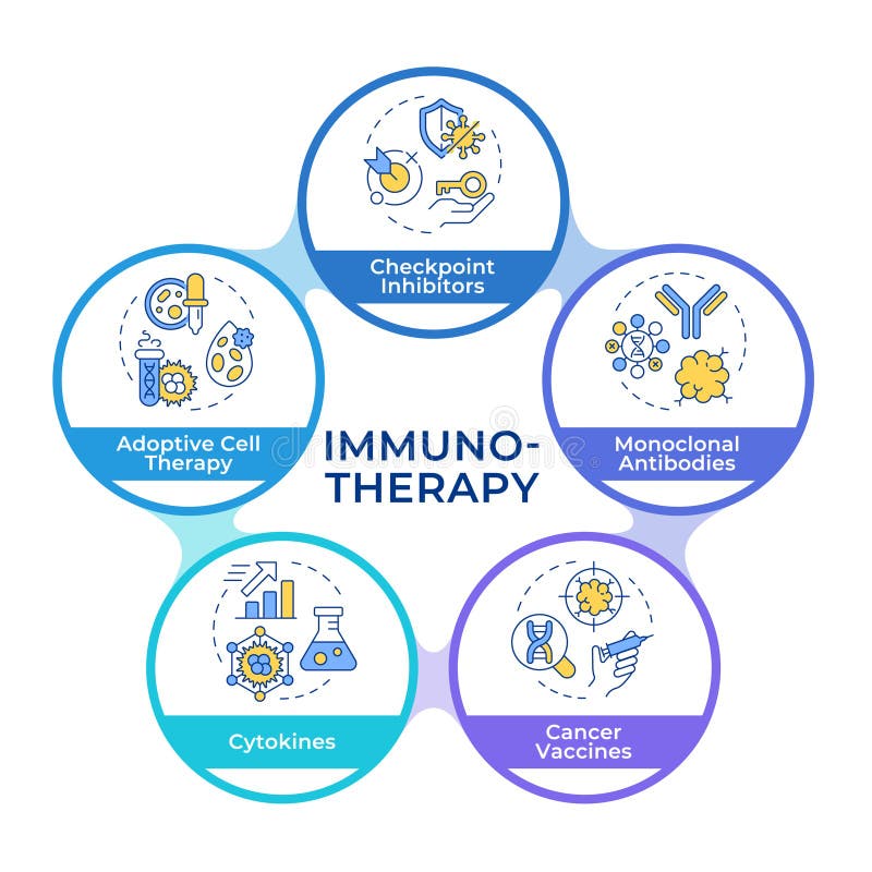 Immunotherapy Types Infographic Circles Flowchart Stock Vector ...