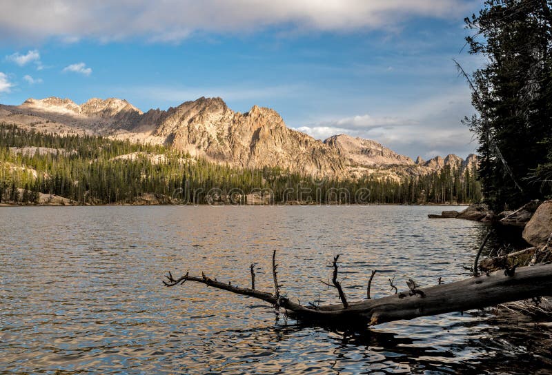 Imogene Lake Idaho Morning Reflection with Log Stock Image - Image of ...