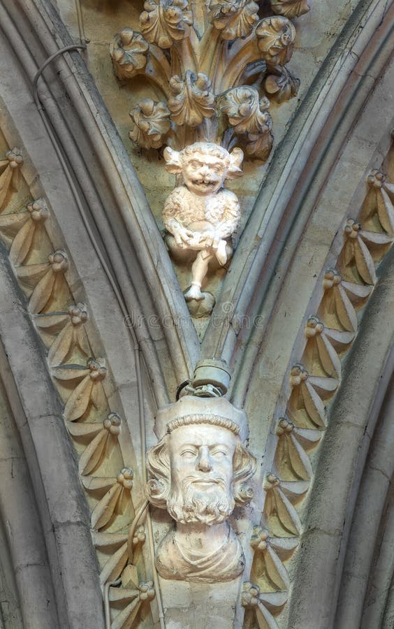 140+ Imp Free Stock Photos - StockFreeImages