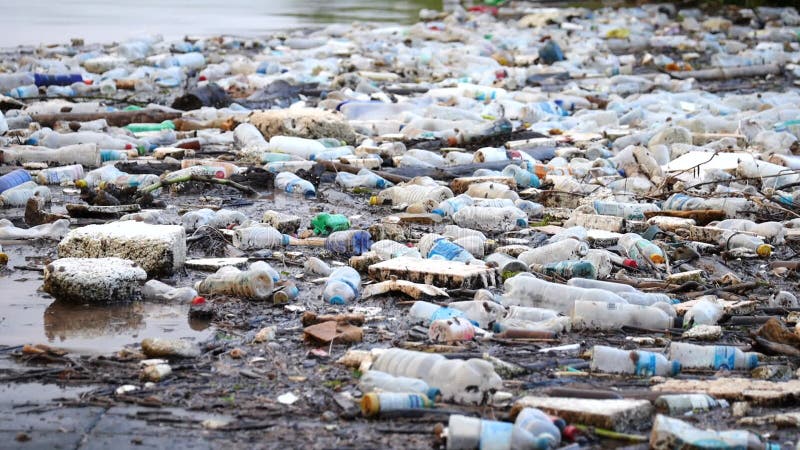 Impactful Image of Plastic Waste Pollution in Nature, Featuring ...