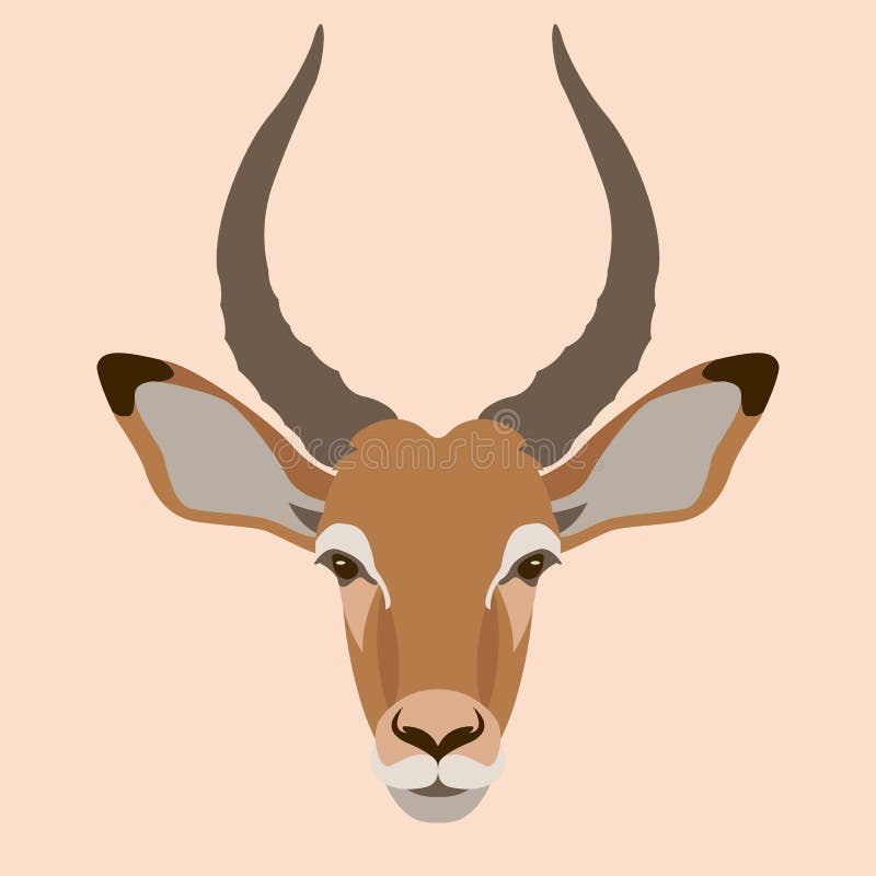 Impala Buck Head Face Vector Style Flat Stock Vector - Illustration of ...