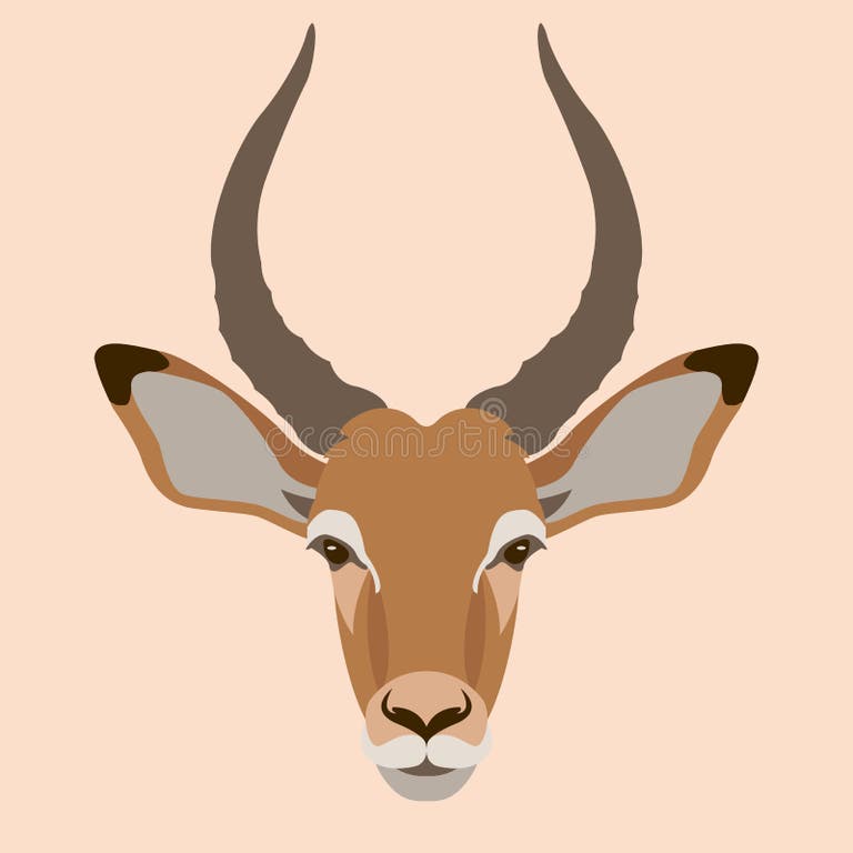 Impala Buck Head Face Vector Style Flat Stock Vector - Illustration of ...
