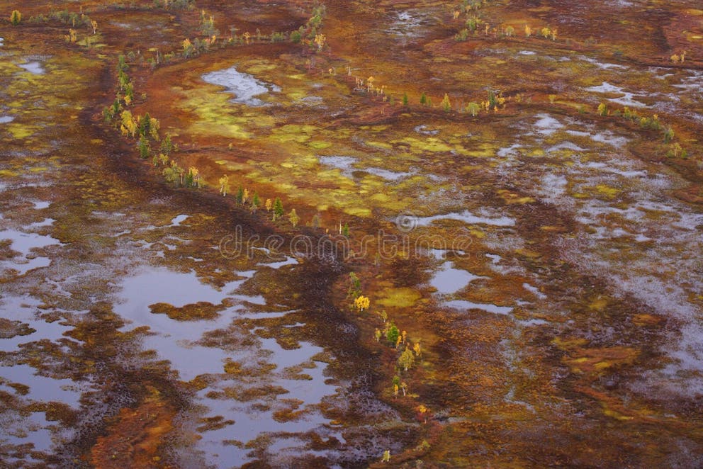 Impassable bog stock image. Image of morass, siberia - 17745055