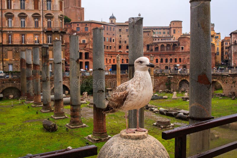 Imperial Fora, Rome stock image. Image of history, ruins - 37366893