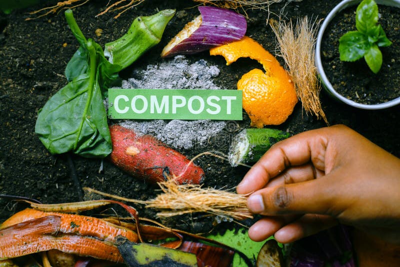 Recycle and Composting at Home Stock Photo - Image of fruits, animal ...
