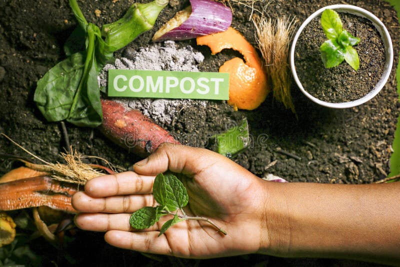 Importance of composting stock photo. Image of fertilizer - 309839154