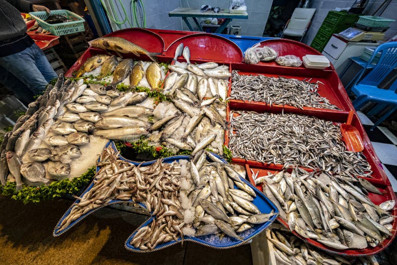 The Importance of Fish Sales Aisle and Presentation Stock Image - Image ...