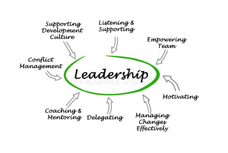 Diagram of Leadership Skills Stock Illustration - Illustration of ...
