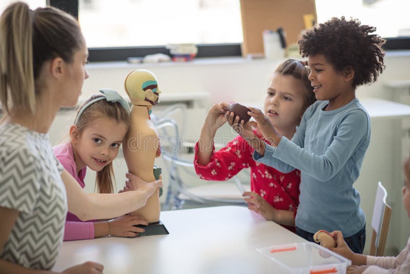 It is Important To Learn Basic Things about Your Body Stock Image ...