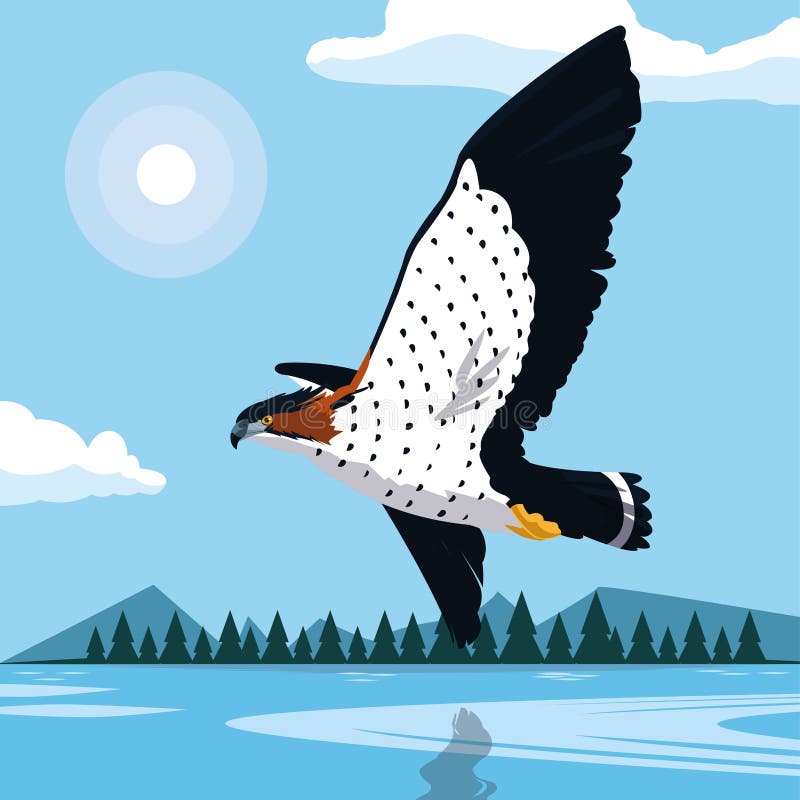 River Hawk Stock Illustrations – 561 River Hawk Stock Illustrations ...