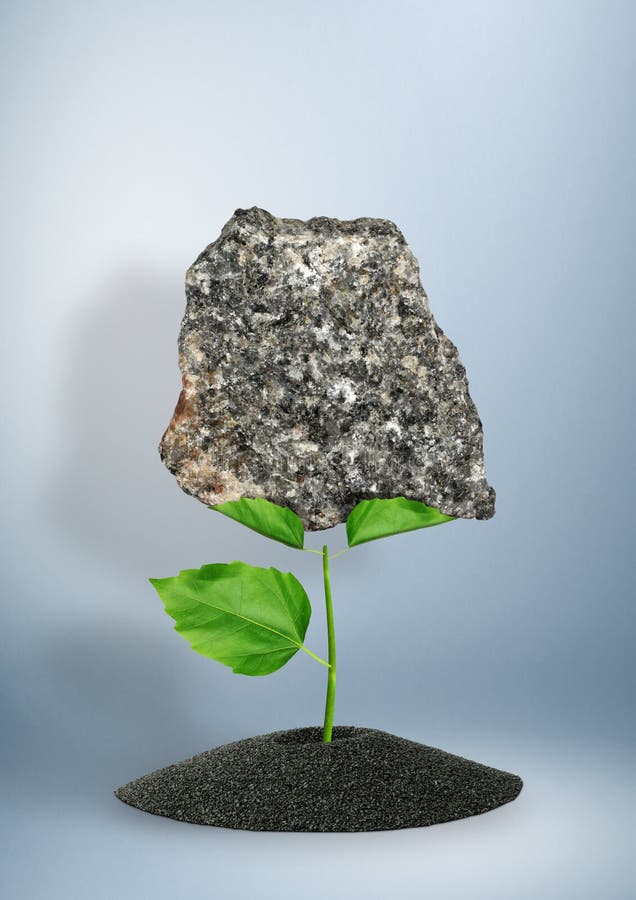 Impossible is Possible Concept, Hardy Sprout Raise Heavy Stone Stock ...