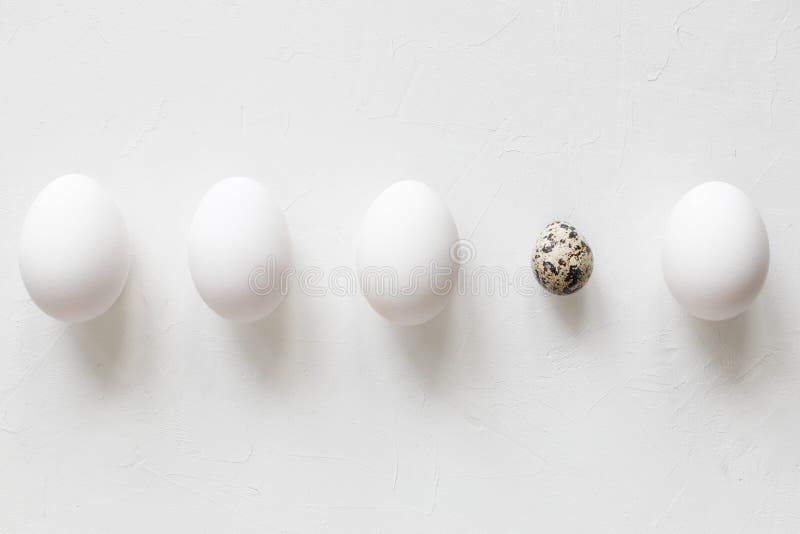 The Imposter Egg for Easter - the Quail Egg Hid among the Chicken Eggs ...