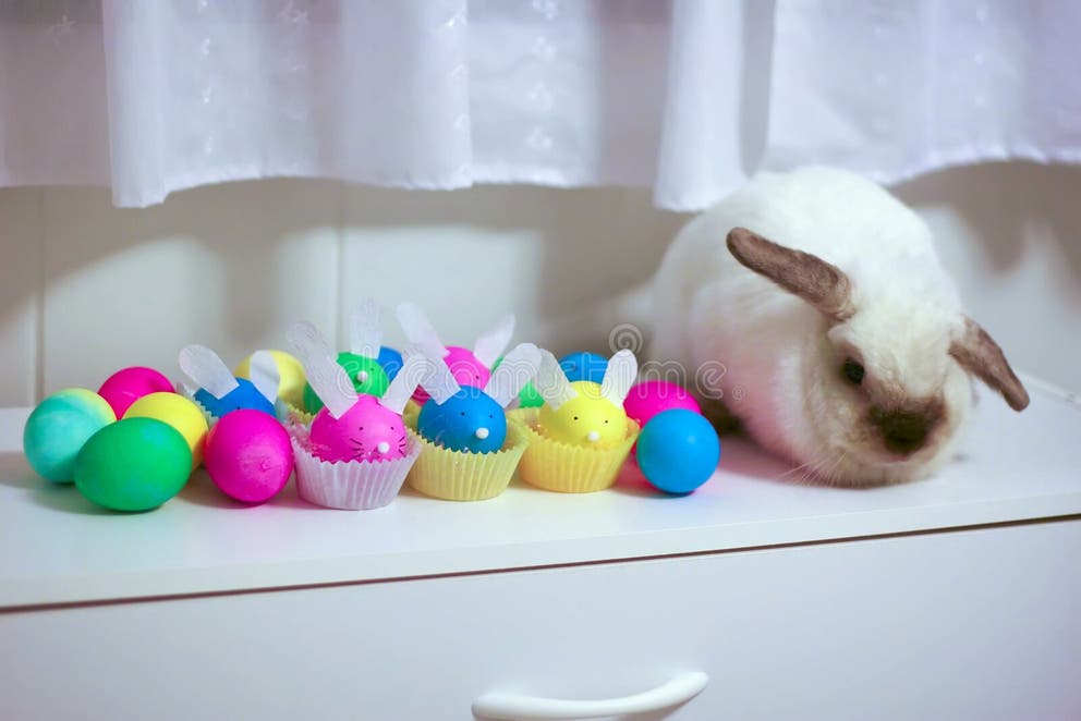 Imposter Rabbit stock photo. Image of animal, home, domestic - 2451976