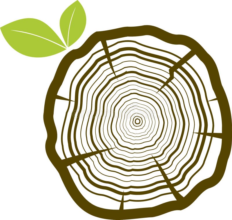 Tree trunk cut with leaves stock vector. Illustration of round - 153130290