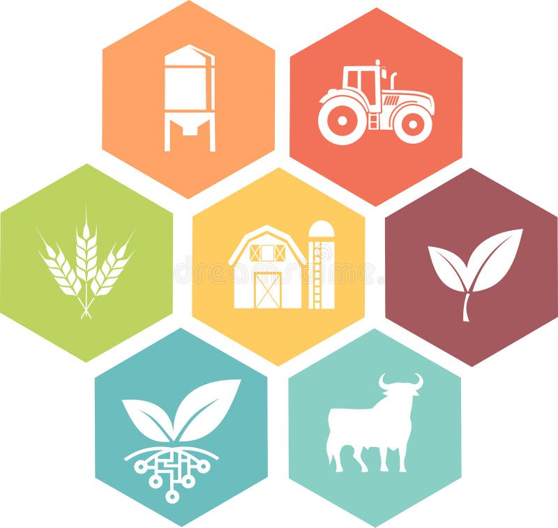 Coloured Agricultural Icons Stock Vector - Illustration of barn ...