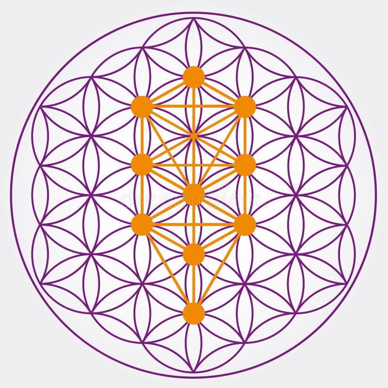The Tree of Life from Kabbalah Stock Vector - Illustration of sacral ...