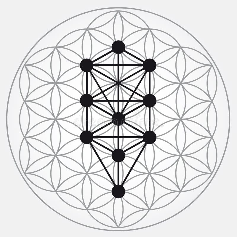 The Tree of Life from Kabbalah Stock Vector - Illustration of sacral ...