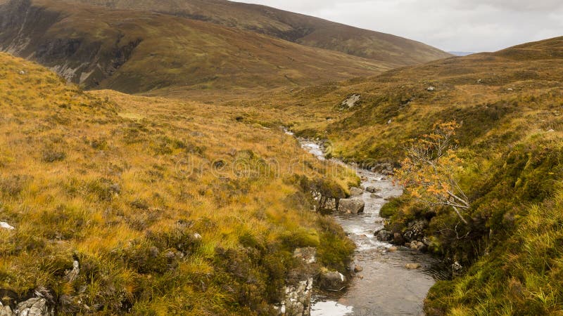 A stream in the hills stock image. Image of hiking, sealga - 129756869