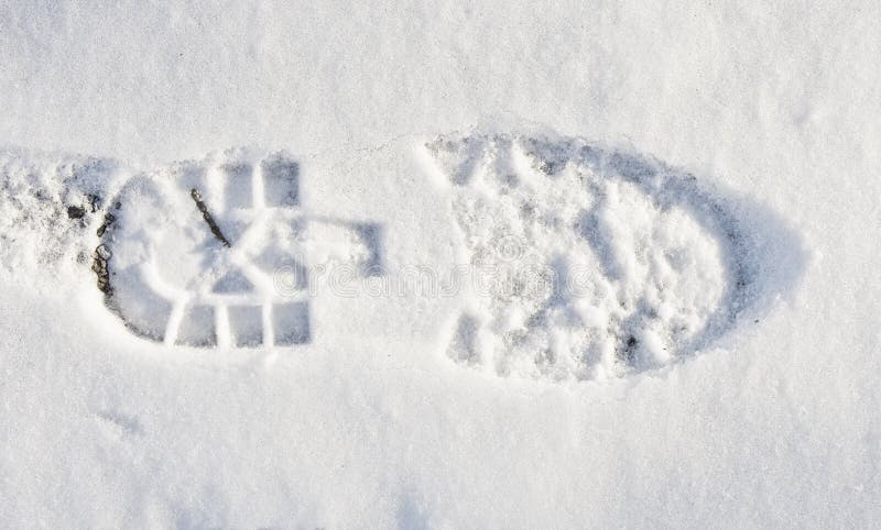 Impression De La Chaussure De Neige Photo stock - Image du chaussure ...
