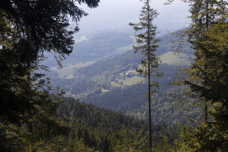 Hiking GR5 through the Vosges Stock Image - Image of park, hiking ...