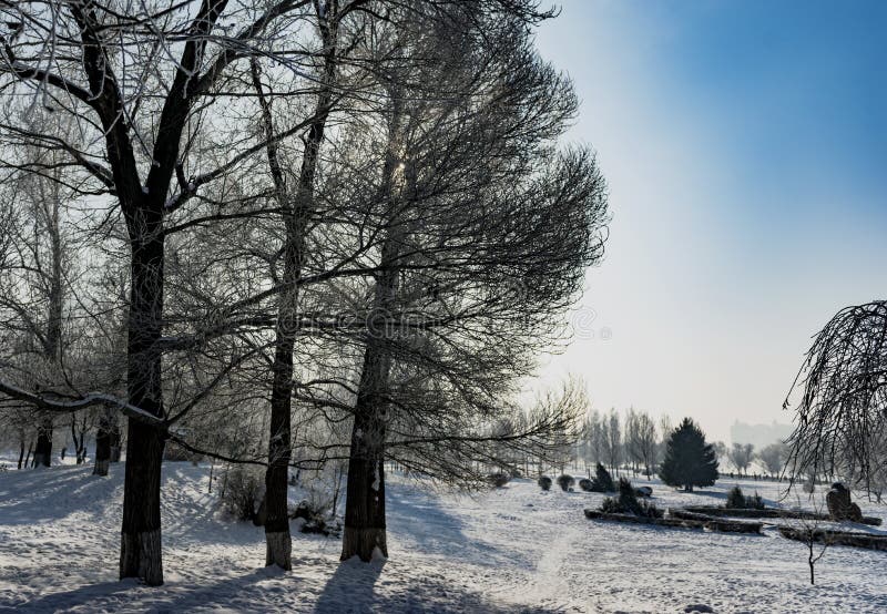The impression of winter stock image. Image of fields - 94498821