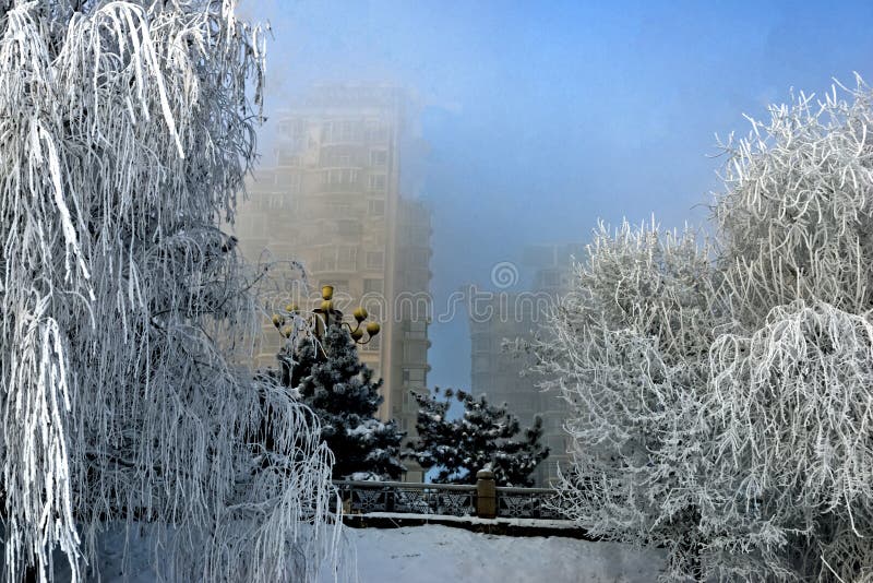 The impression of winter stock photo. Image of shadow - 94494550