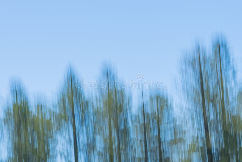 Impressionist Effect of Blurred Vertical Camera Movement Green Norfolk ...