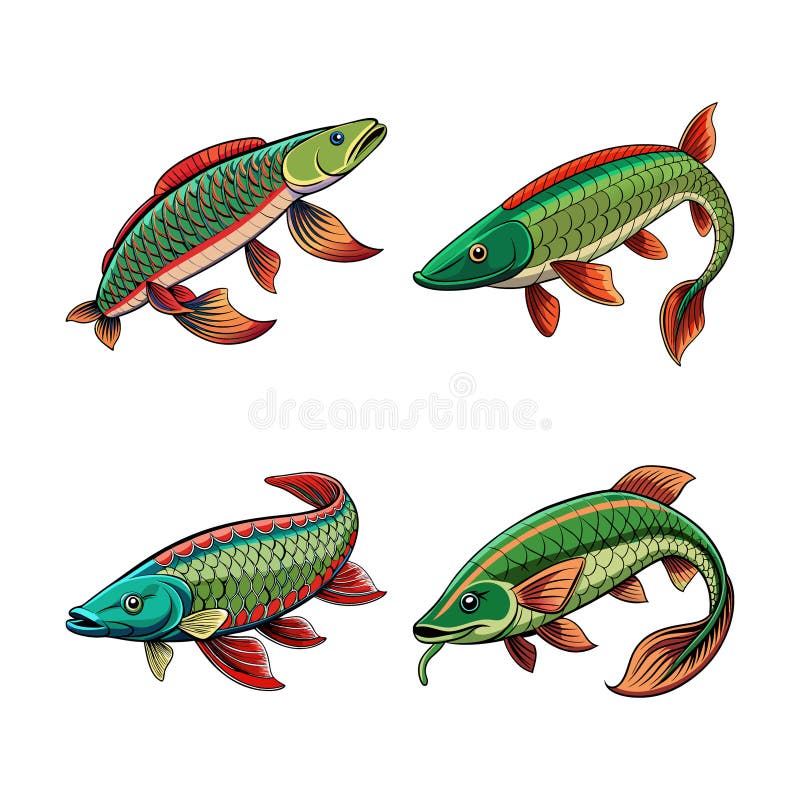 Impressive Arapaima Fish Colorful Art Display Stock Vector ...