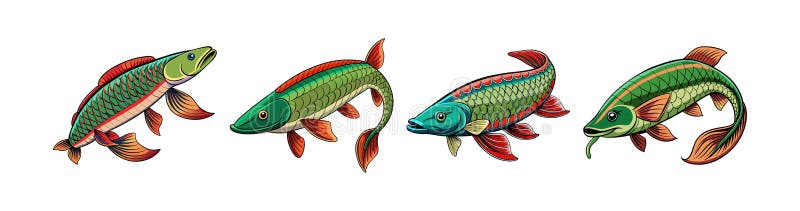 Impressive Arapaima Fish Colorful Art Display Stock Vector ...