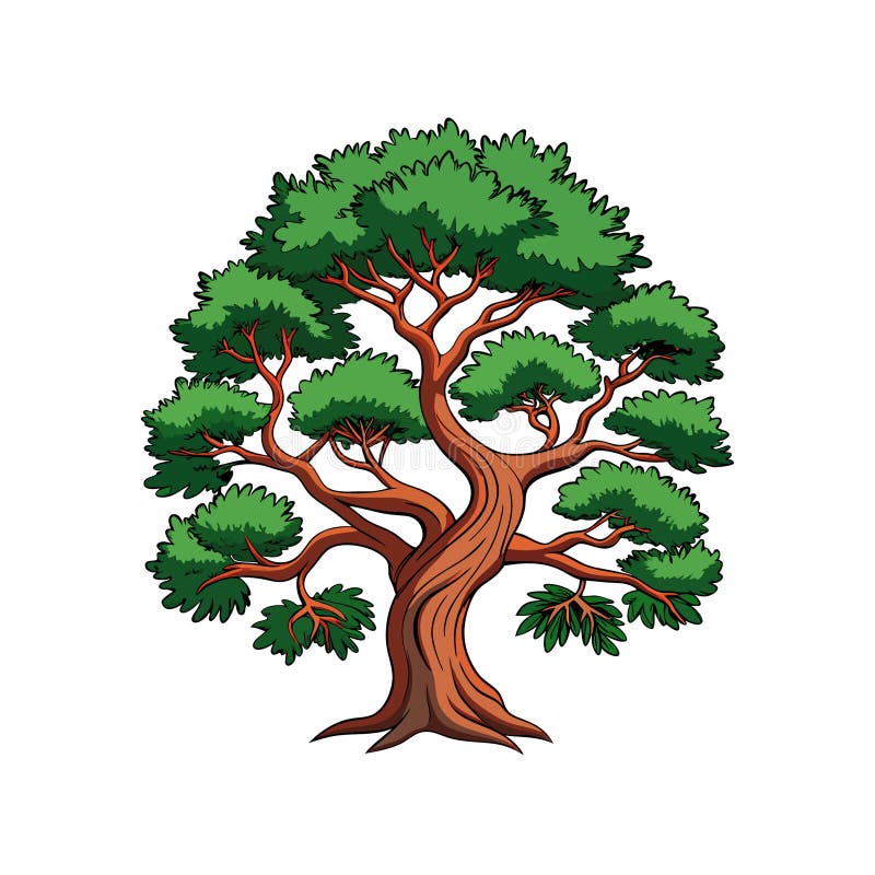 Impressive Juniper Tree Artistic Design Stock Illustration ...