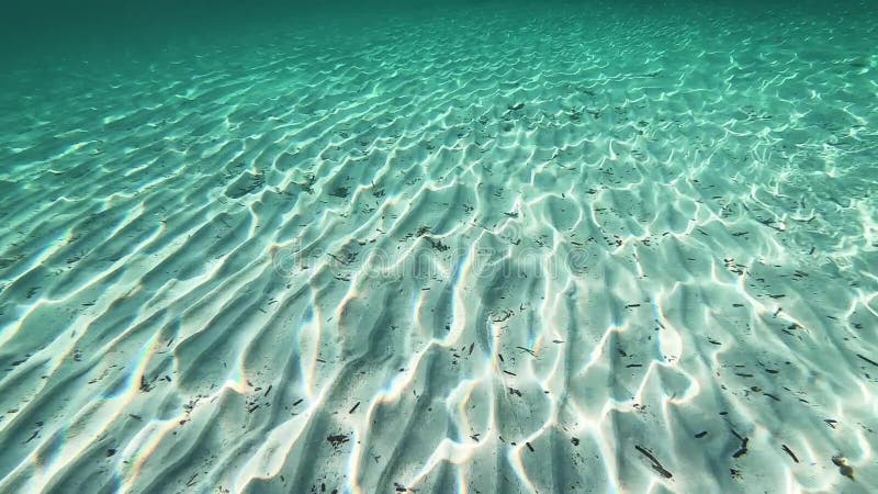 Impressive and Awesome Underwater Light Effects Created by the Movement ...