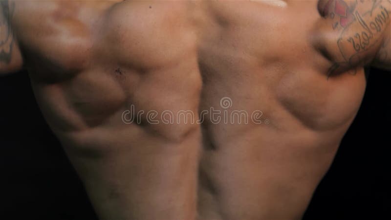 Impressive Close-up of a Muscular Back Showcasing Strength Stock ...