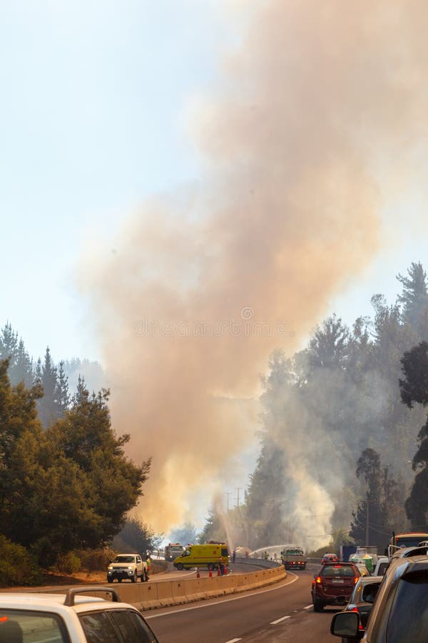 Impressive Forest Fire on the Road To Valparaiso, Chile Editorial Stock ...