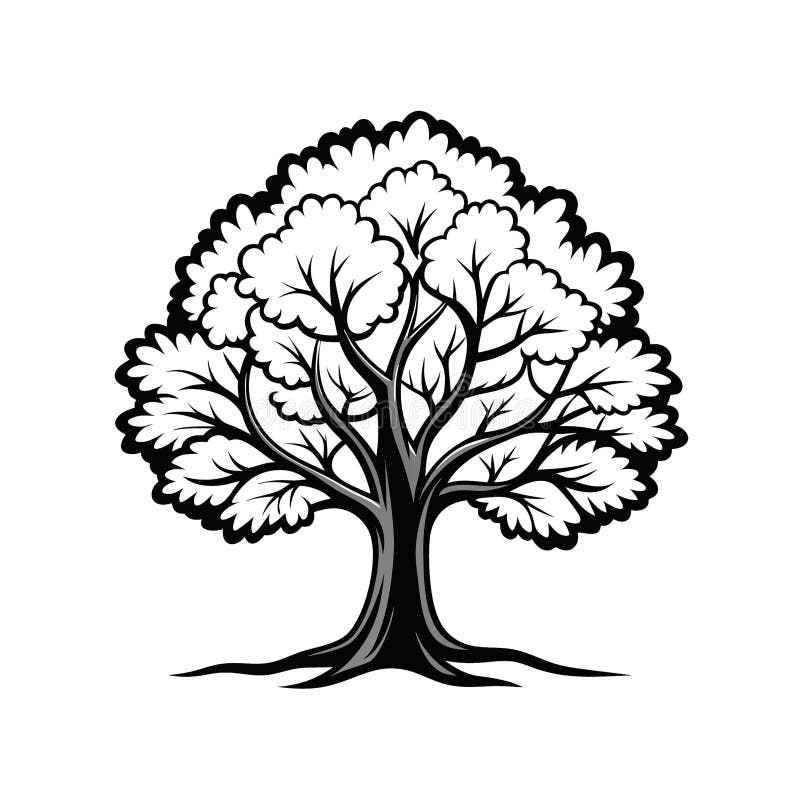 Impressive Hickory Tree Vector Design Stock Image - Illustration of ...