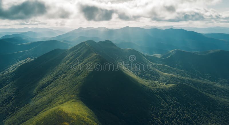 Impressive Landscape of the Amazon Jungle Stock Illustration ...